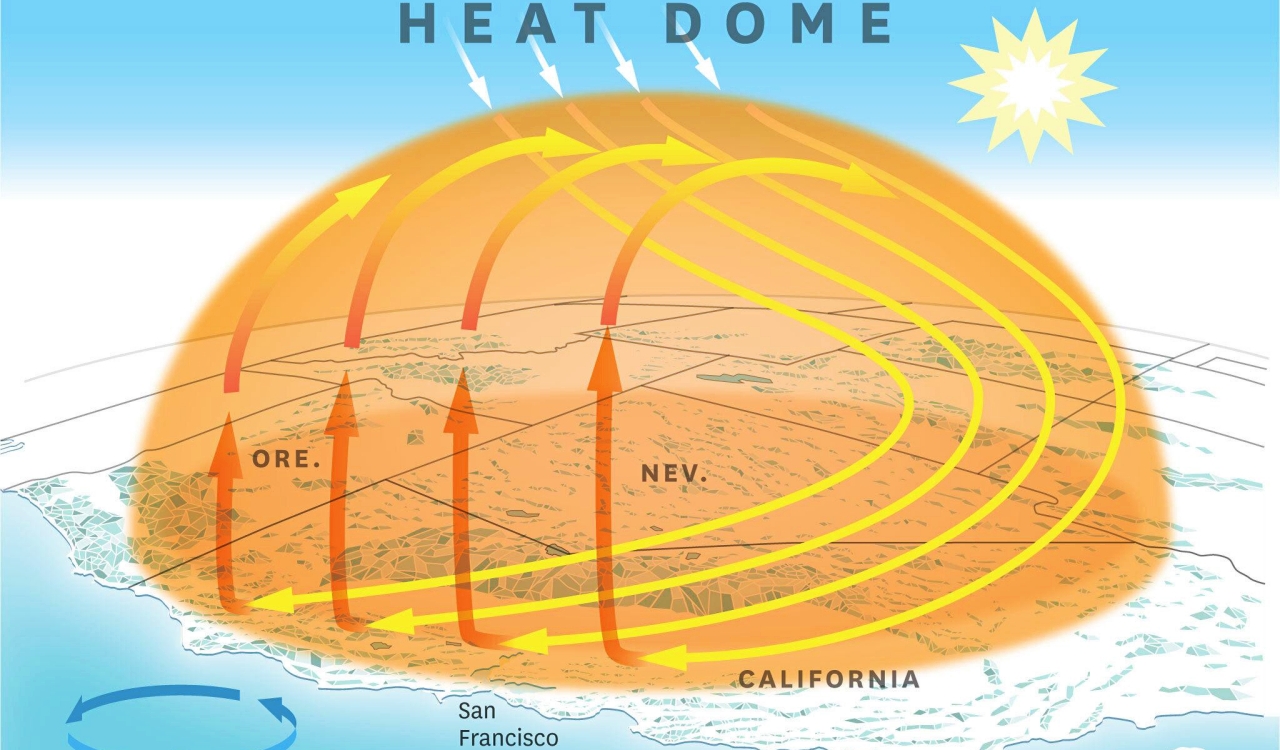Summer Heat Wave: The Cause Of Our Current Temperature Increase